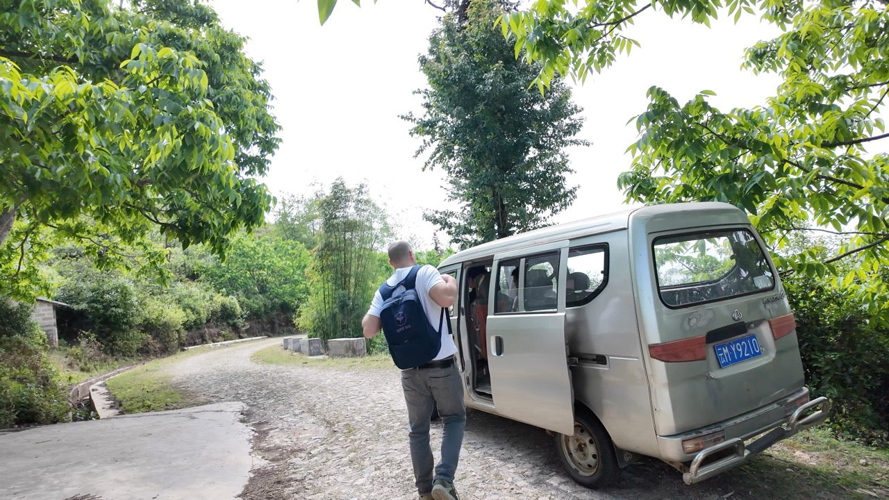 Spirit Tea | Crescent Green Tea | Directly sourced, made by centuries ...